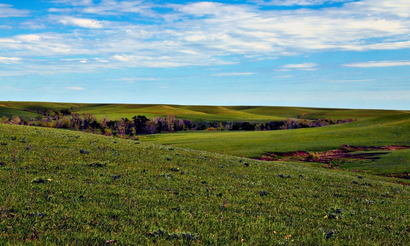 Buttonwood Art Space : Profile